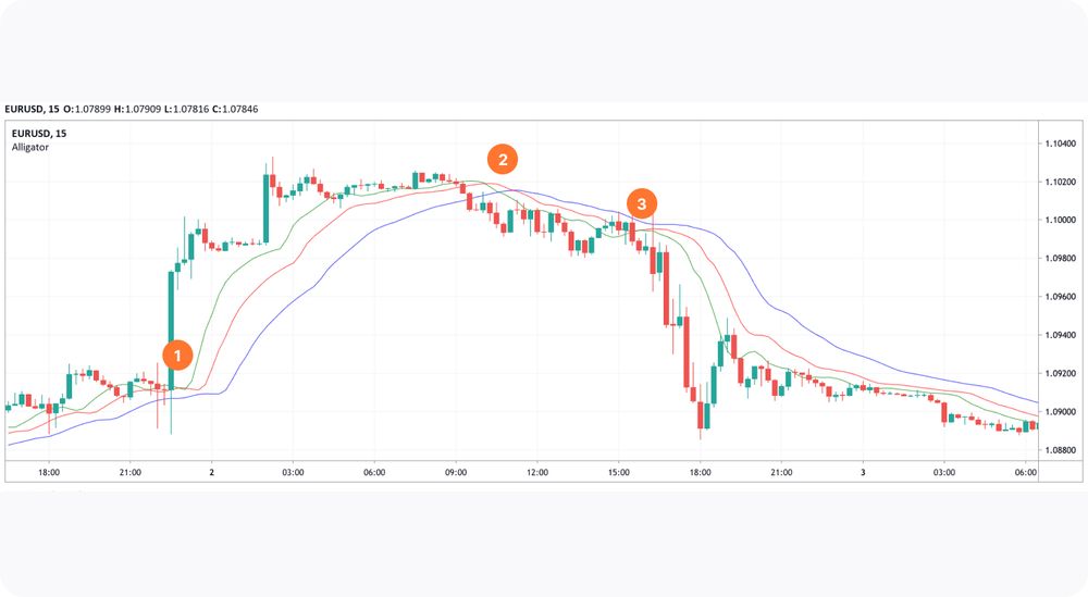 What Is an Alligator Indicator and How Should You Use It? | Market Pulse