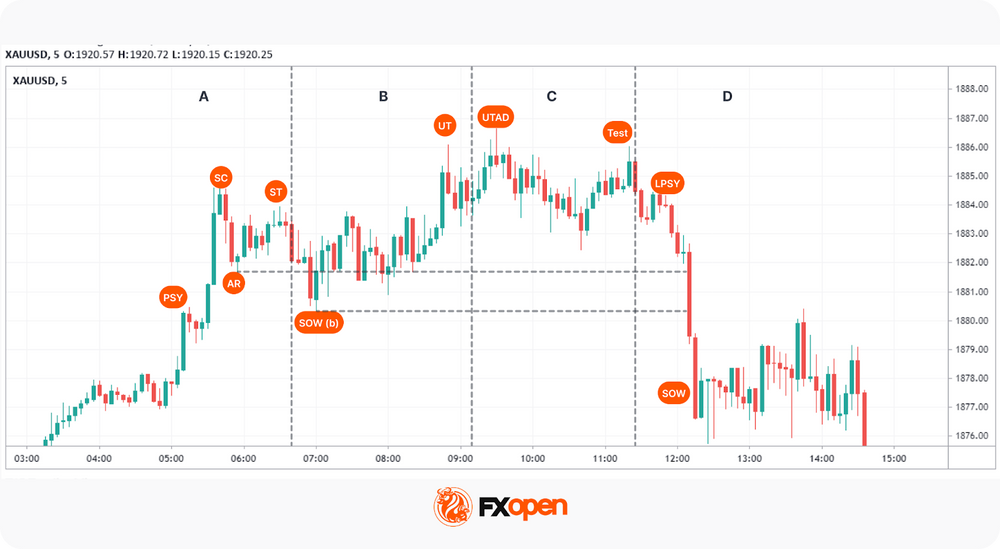 Wyckoff Trading Explained: Cycles, Schematics, and Strategy | Market Pulse